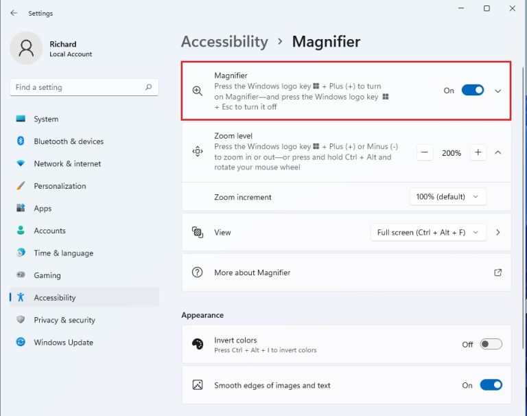 How to Enable or Disable Magnifier in Windows 11 - Geek Rewind