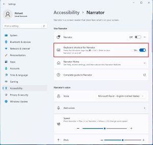 How to Enable Narrator Keyboard Shortcuts in Windows 11 | Geek Rewind