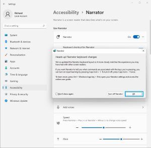 How to Enable or Disable Narrator in Windows 11 - Geek Rewind