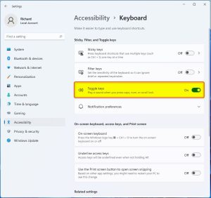 Enable or Disable Toggle Keys Tone in Windows 11 - Geek Rewind