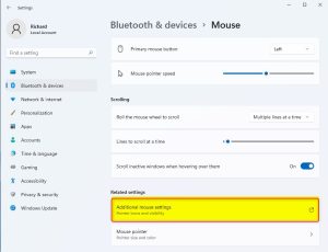 Enable Mouse Pointer Shadow in Windows 11 - Geek Rewind