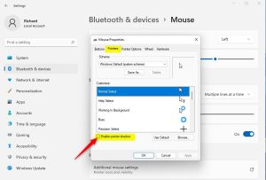 Enable Mouse Pointer Shadow in Windows 11 - Geek Rewind