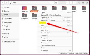 How to Copy, Cut, or Move Files and Folders on Ubuntu Linux - Geek Rewind