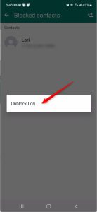 How to Block or Unblock Contacts in WhatsApp - Geek Rewind