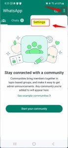 How to Turn Ringtone On/Off in WhatsApp - Geek Rewind