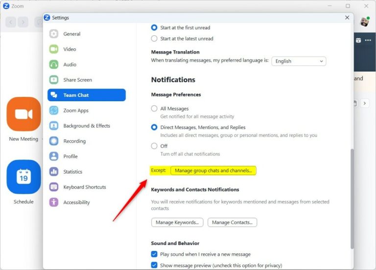 How to Turn Chat Notifications On or Off in Zoom on Windows 11 - Geek ...