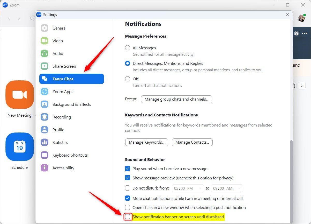 Turn On/Off Zoom Notification Banner on Windows 11 - Geek Rewind