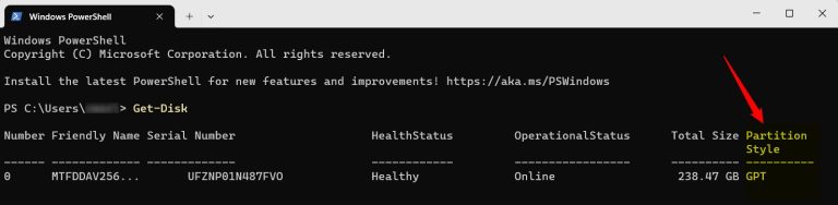 How to Check Disk Drive Partition Style in Windows 11 | Geek Rewind